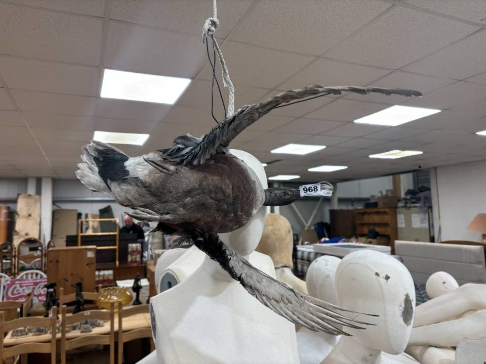 Left Bids Online Bidding - Bangor Auctions Ltd.